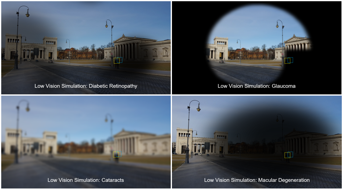 InnovateFPGA | EMEA | EM007 - Deep Argus - AI 4 Visually Handicapped People